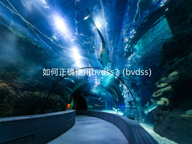 如何正确使用bvdss？(bvdss) - 怎通